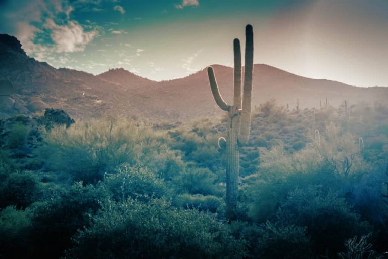 Civil Attorney Near Me - Phoenix AZ | Top Arizona Law Firm
